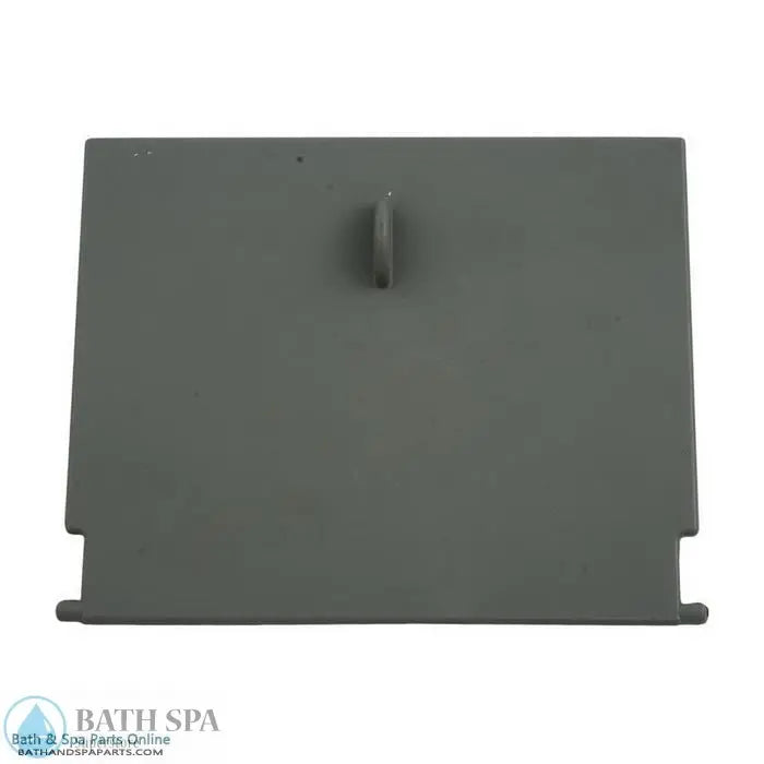 Waterway Front Access Skimmer Weir Door [Gray] (550-9007) | BSPO